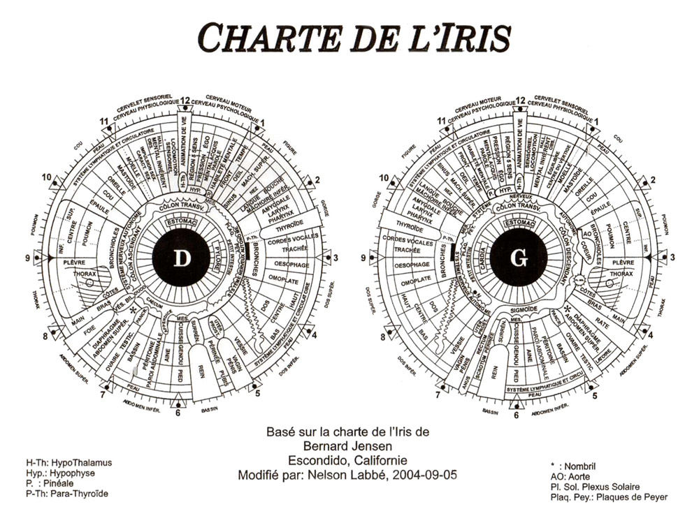 Iridologie – Ma vie saine & moi