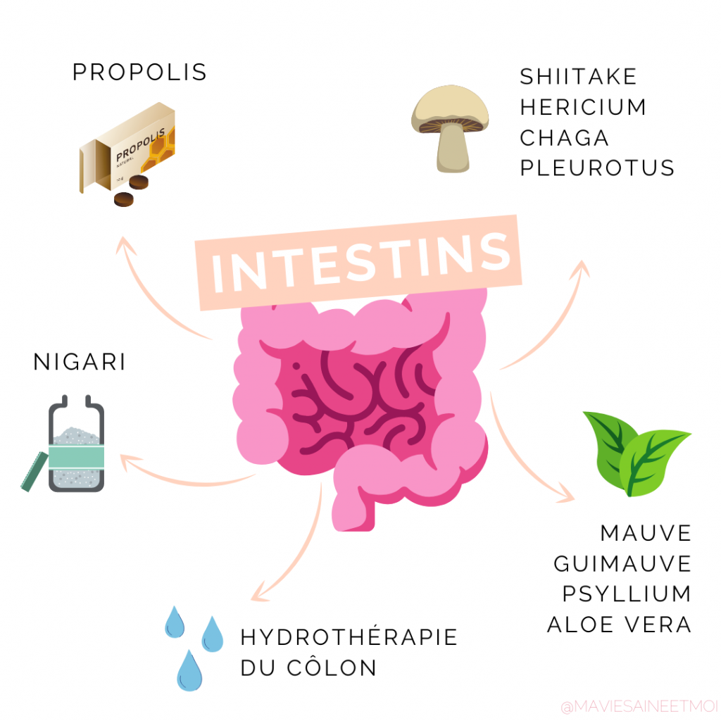 Tout ce que vous devez savoir sur la candidose : les causes et ...
